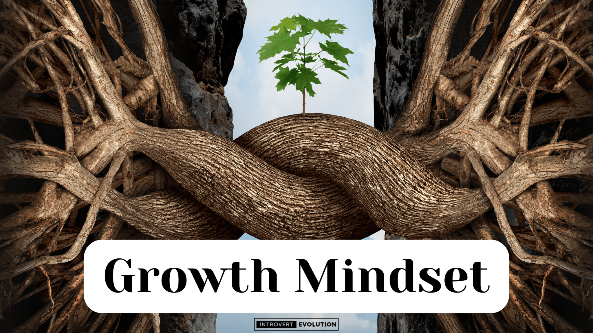 Growth Mindset Tips for Introverts: Achieve Your Goals with Confidence ...